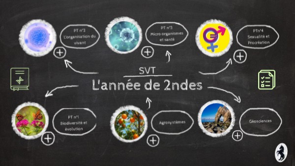 Année de 2ndes