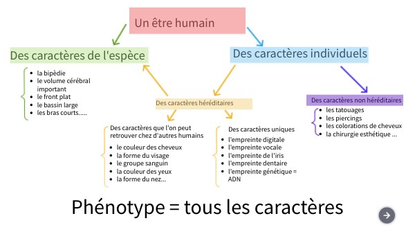 3eme - chapitre 1 - séance 3
