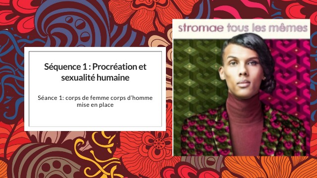 Theme 3 seconde | Genially