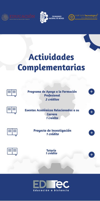 LINEAMIENTO DE ACTIVIDADES COMPLEMENTARIAS