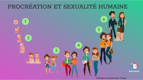 Procréation et sexualité humaine - 2des | Genially