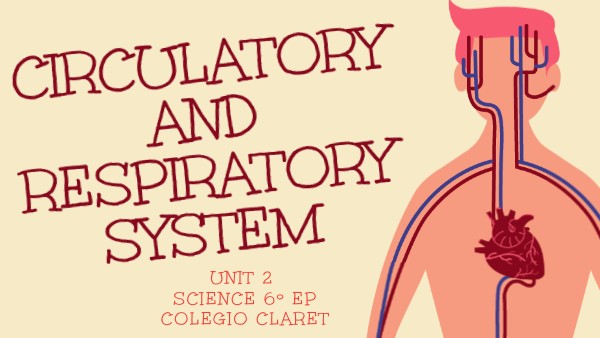 Circulatory and respiratory