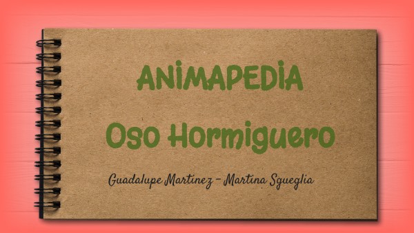 OSO HORMIGUERO Animapedia