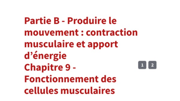 Chapitre 9 fonctionnement des cellules musculaires | Genially