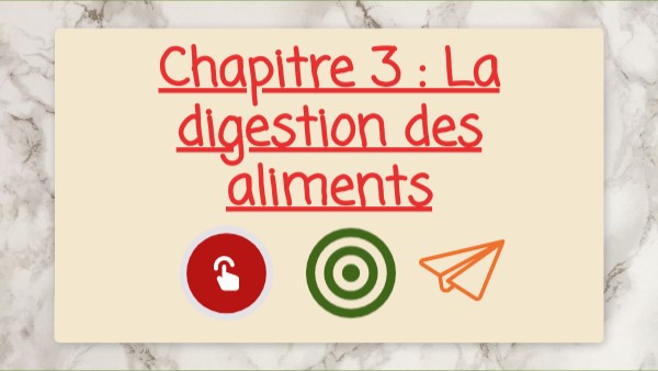 5e CH3 digestion | Genially