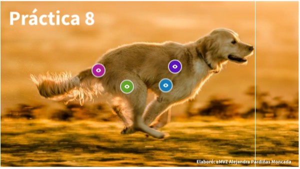 Presentación Práctica 8. Ejercicio | Genially