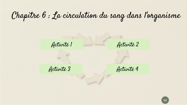 5e - Chap 6 : Circulation du sang dans l'organisme | Genially