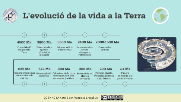 L'evolució de la vida a la Terra | Genially