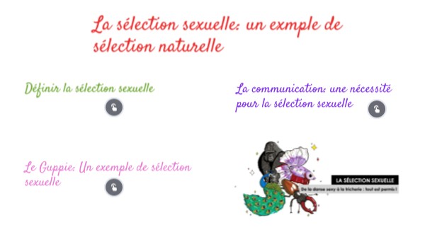 sélection sexuelle