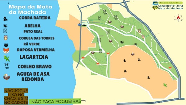 DIGITAL BASIC PRESENTATION | Genially