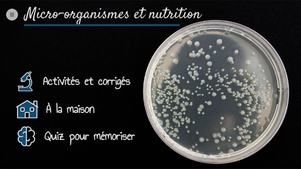 Activités - micro-organismes et nutrition | Genially