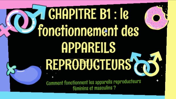 APPAREILS REPRODUCTEURS ETRES HUMAINS | Genially