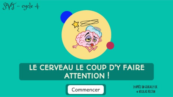 cycle 4 - perturbations du SN | Genially