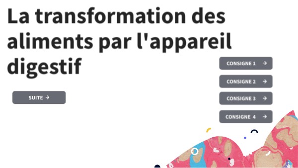 5e digestion | Genially