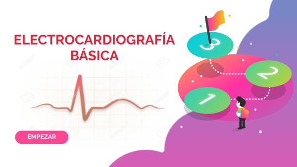 Clase 1. Principios básicos | Genially