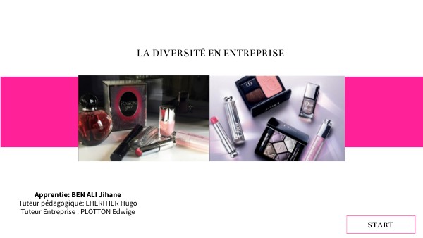 Copie - PRESENTATION soutenance