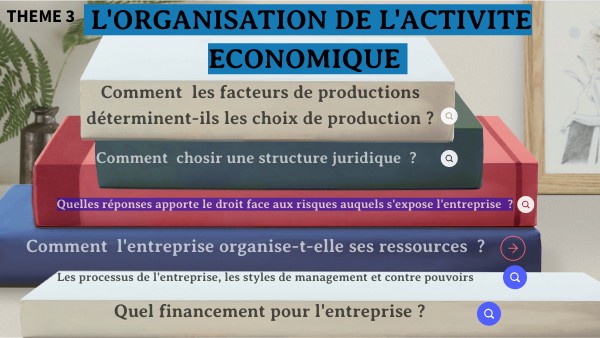 THEME 3 L'ORGANISATION DE L'ACTIVITE DE L'ENTREPRISE | Genially