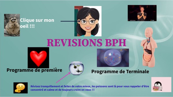 revisions terminale | Genially