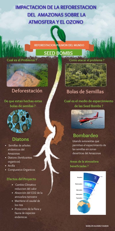 Seed Bombs Amazon River | Genially