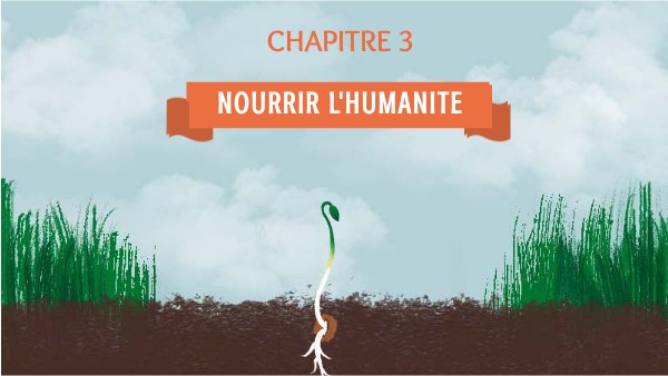 SEED LIST | Genially