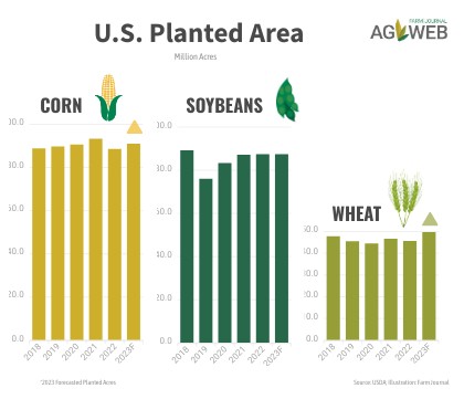 U.S. Planted Area