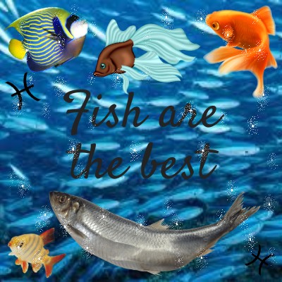 FISHHHHHHHHHH!!!!!