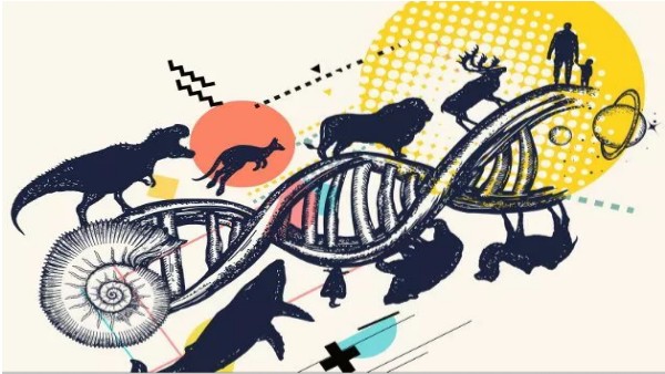 Introduction to genetics | Genially