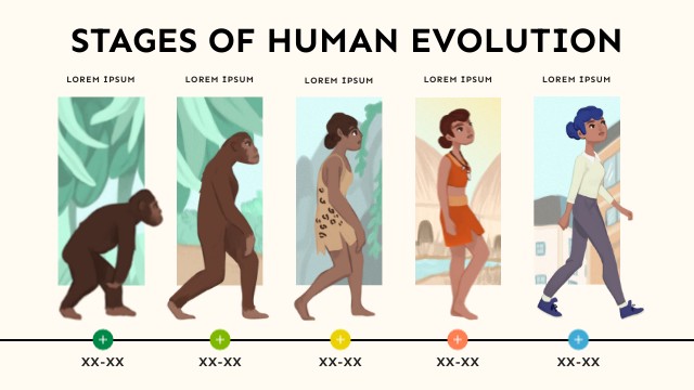 STAGES OF HUMAN EVOLUTION | Genially
