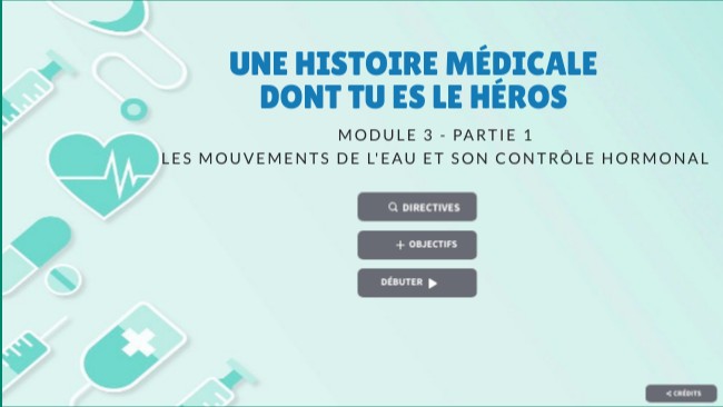 BCM II - Module 3 - Partie 1 | Genially