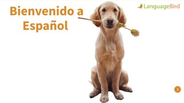 Spanish 1 - Unit 3 | Genially