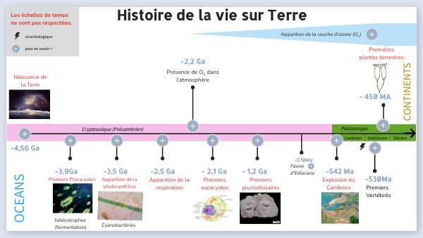 Les différentes étapes de l'apparition de la vie sur Ter | Genially