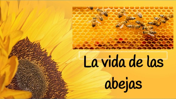 QUIZ LAS ABEJAS | Genially