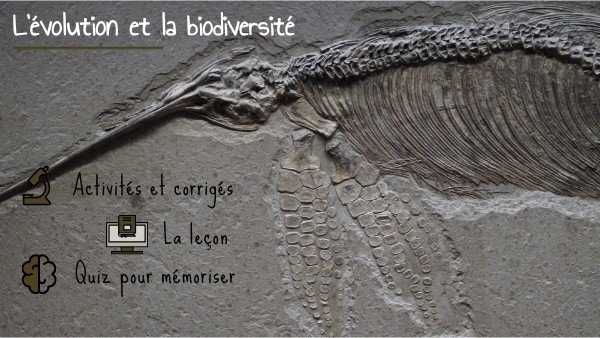 Evolution | Genially