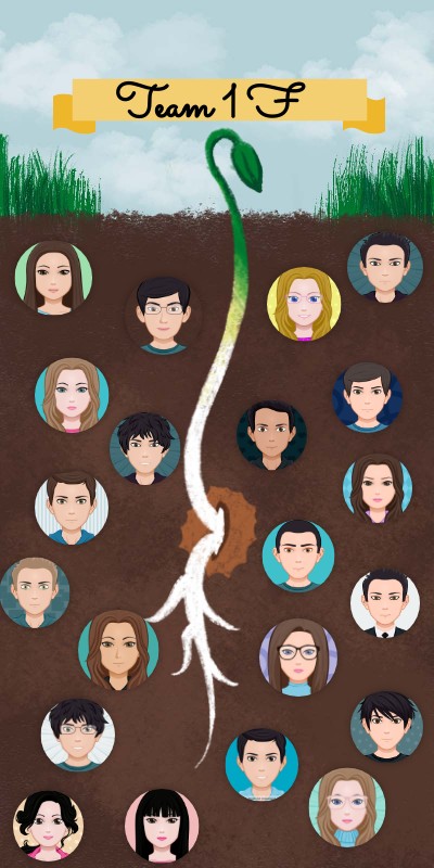 Team 1F