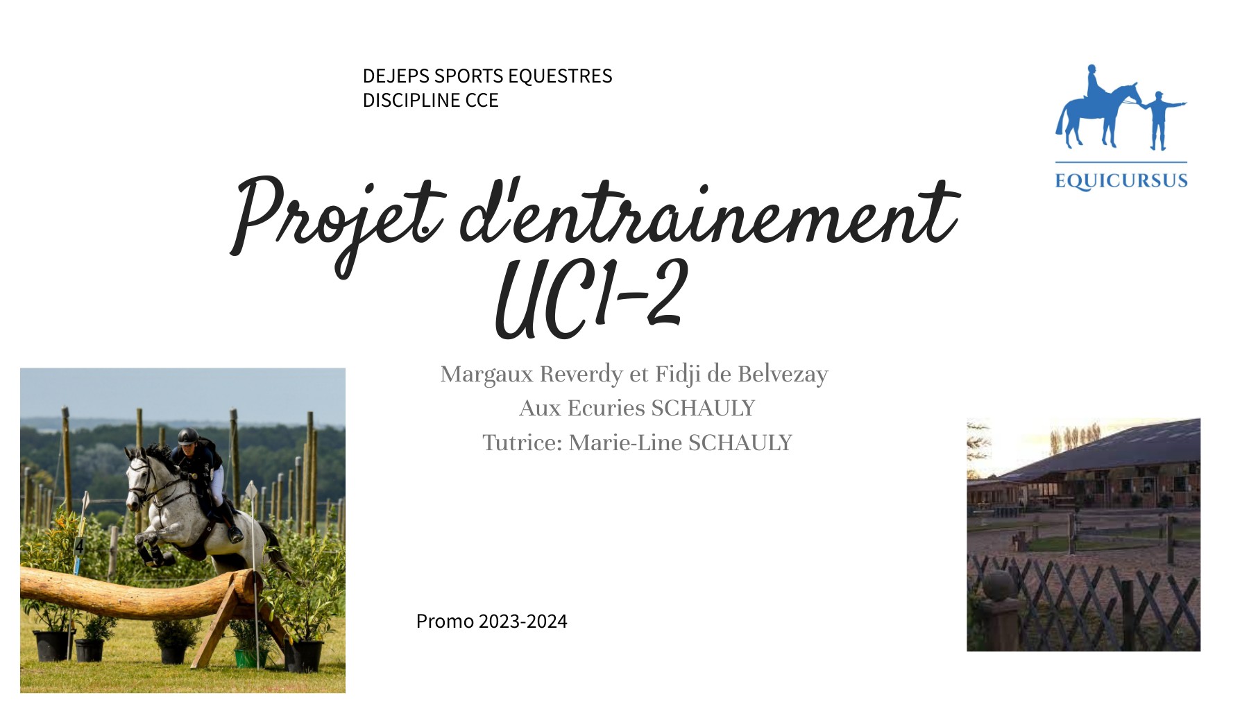 diapo dossier DEJEPS | Genially