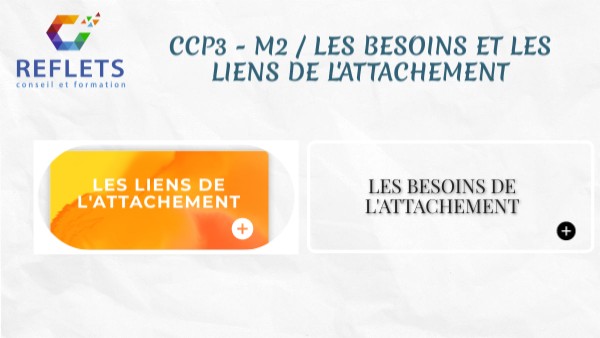 CCP3 - M2 LES BESOINS ET LES LIENS DE L'ATTACHEMENT