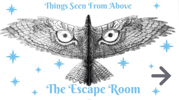 Things Seen From Above Escape Room