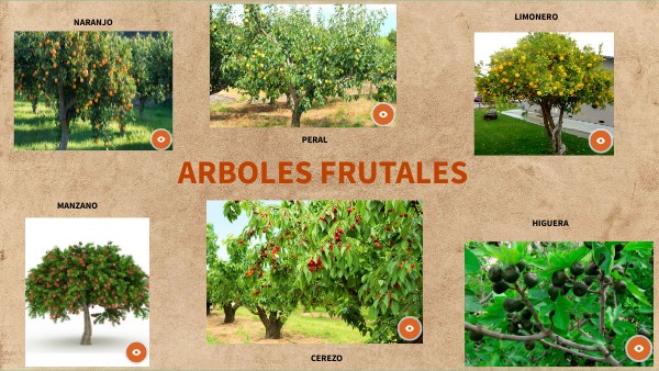 IMAGEN INTERACTIVA ARBOLES FRUTALES | Genially