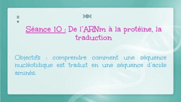 Séance 10 De l'ARNm à la protéine | Genially