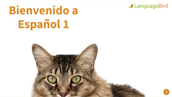 Spanish 1 - Unit 4 | Genially