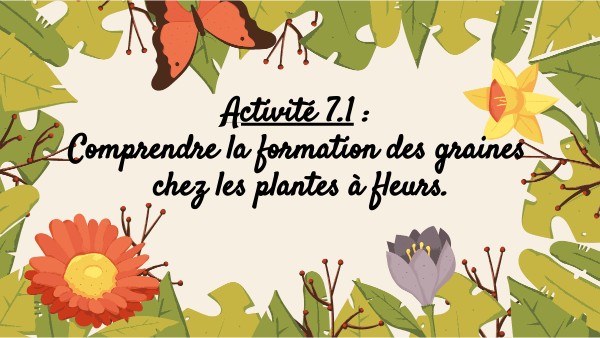 Comprendre la formation des graines chez les plantes à fleurs