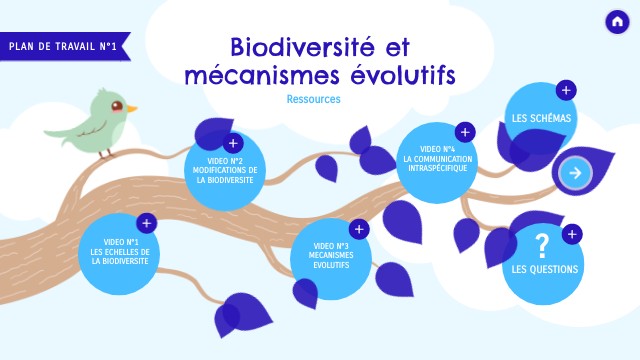 PTn°1 Biodiversité et mécanismes évolutifs | Genially