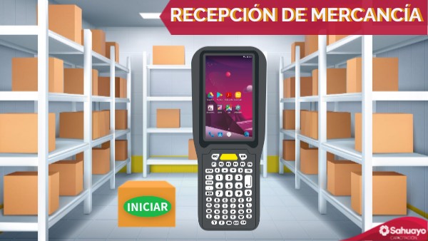 1 Recepción AUX. ALM WMS | Genially