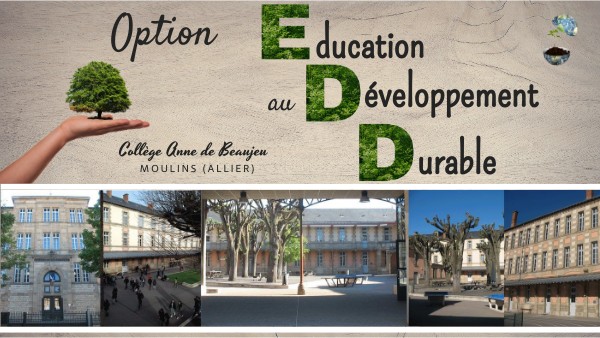 Section EDD présentation 6ème 2023 | Genially