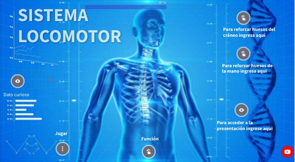 Sistema locomotor | Genially