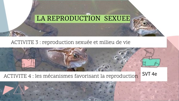 MODES DE REPRODUCTION SEXUEE | Genially