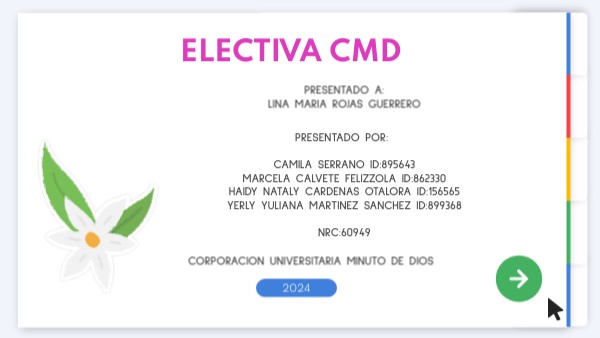 ELECTIVA CMD