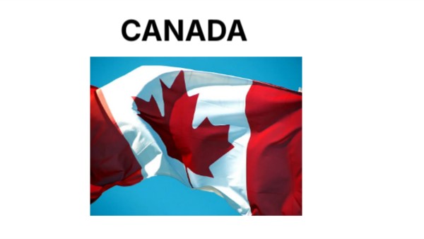 Copie - BASIC PRESENTATION | Genially