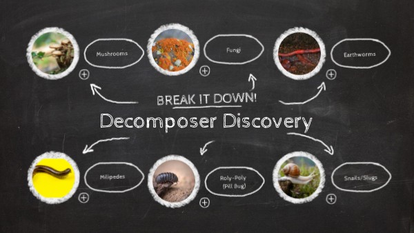 5th - T16 L4 Types of Decomposers