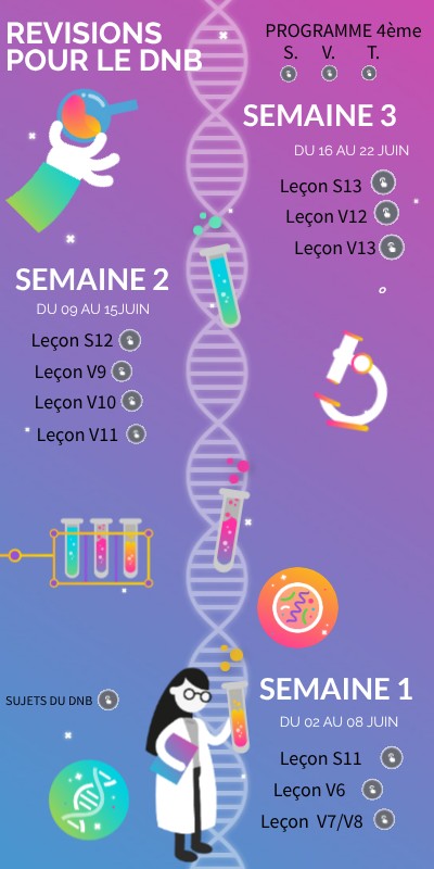révisions DNB 2025 | Genially